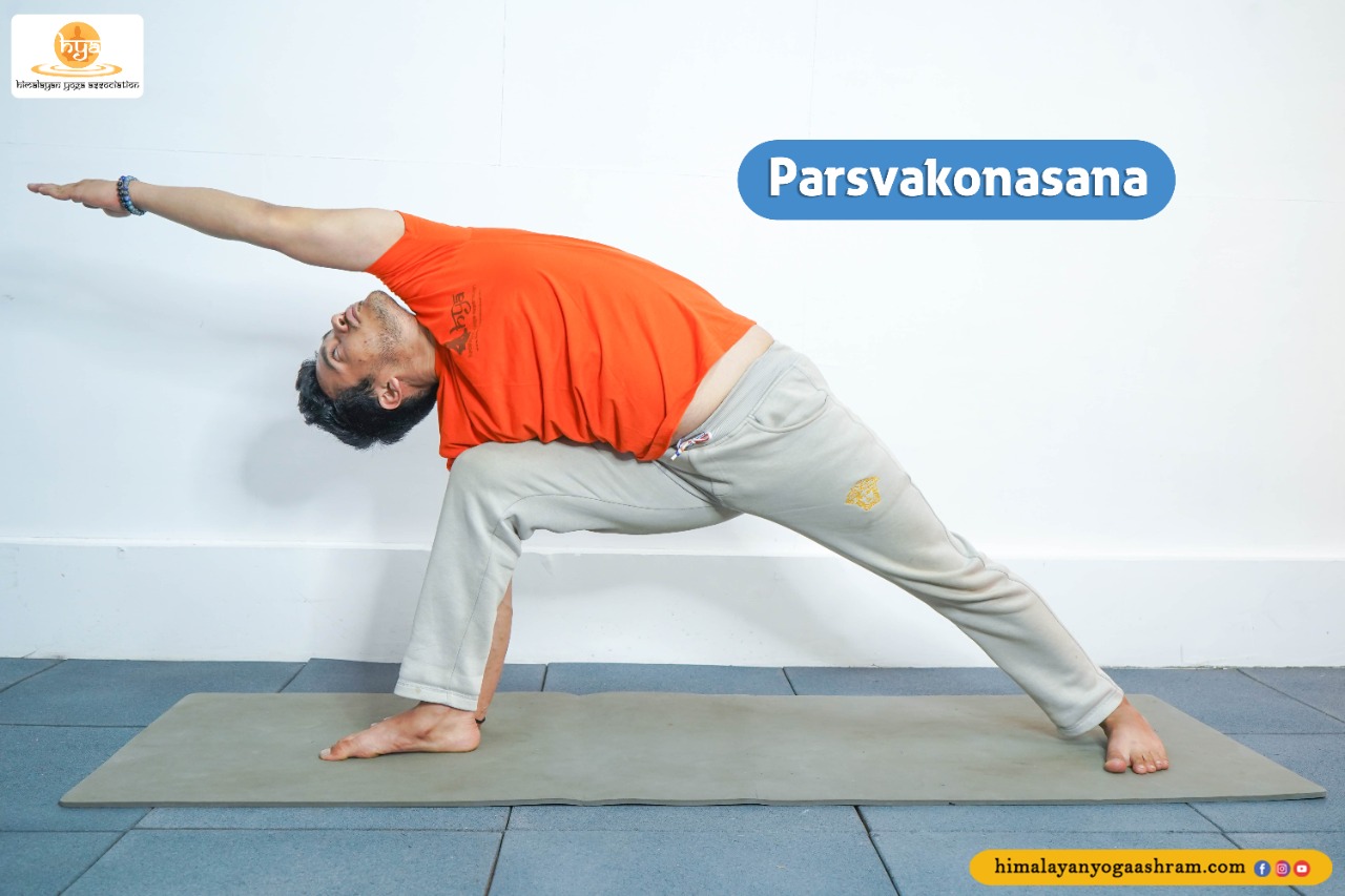 Yoga Side Angle Side Angle And Revolved Side Angle Pose: What Are Our