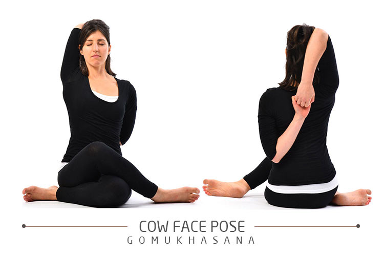 Cow Face Pose