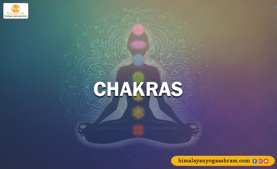Chakras in the Human body