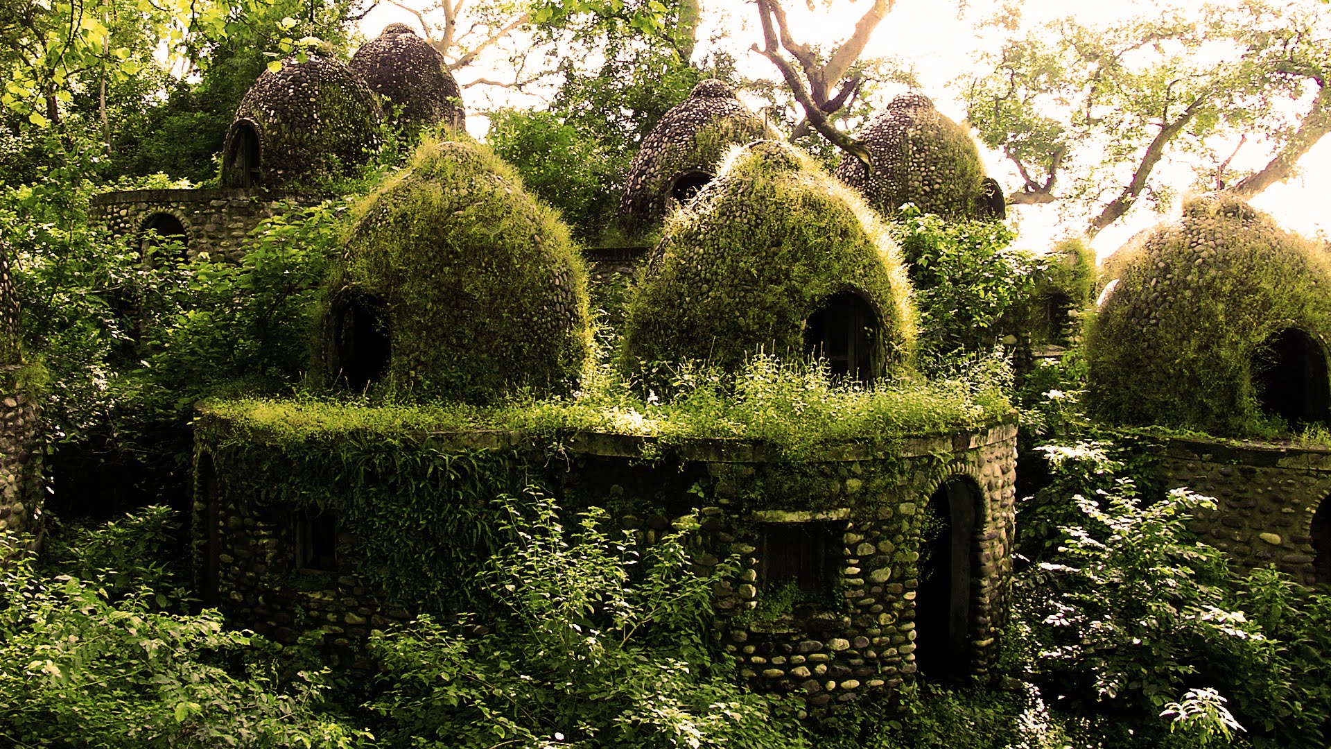 The Beatles Ashram in Rishikesh - Himalayan Yoga Association (Yoga Ashram)
