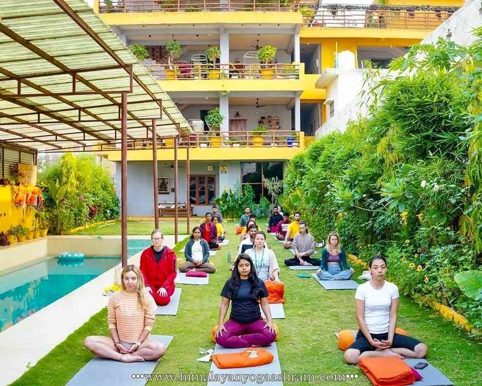 Himalayan Yoga Association | Best Yoga School in Rishikesh India